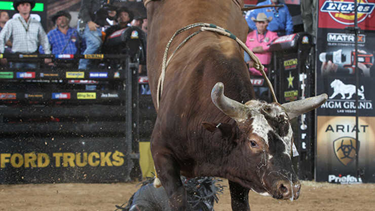 PBR | Bushwacker dubbed 'Baddest Body in Sports'